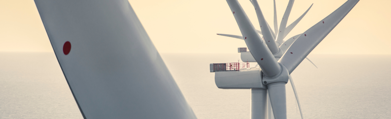 Offshore Wind | ESMAP